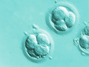 Custom Made Fertility Necklace – Revive Jewelry